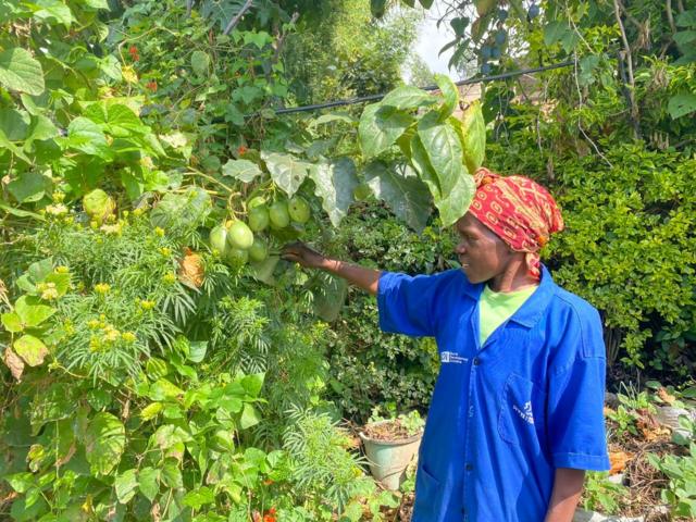 Rwanda: Ubutaka buto ku baturage benshi – Aba bagore b’i Musanze ...