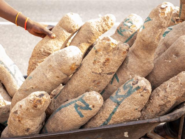 Nutrition : Les multiples bienfaits de l'igname pour la santé - BBC ...