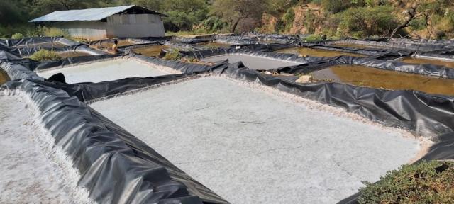 Ashaboo dabalatee albuudonni dhiheenya aanaalee Godina Baalee Bahaatti ...