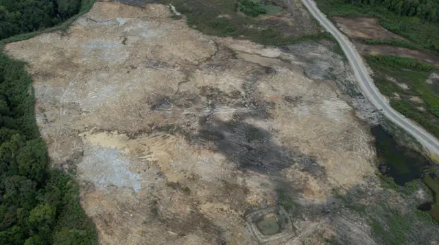 Food Estate Sumatra Utara: Perjuangan perempuan Desa Ria-Ria di lumbung ...