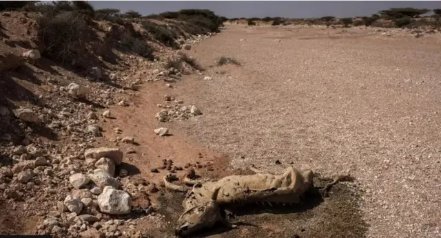 Abaarta Soomaaliya ka jirta oo kasii dareysa - BBC News Somali