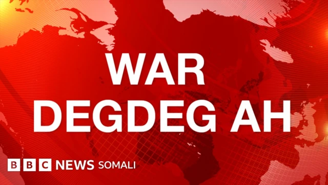 Xog cusub oo laga helay sida Imaaraadku uga baxayo Muqdisho - BBC News ...