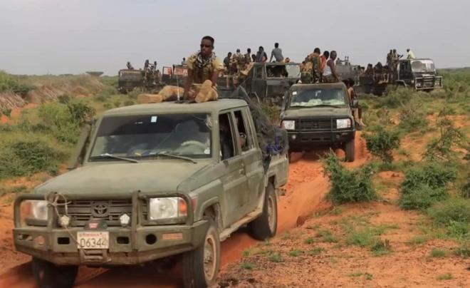 Dawladda Soomaaliya maxay ka tiri in Imaaraatku joojiyay kaalmadii ciidan ee uu siin jiray ...