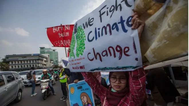 Tambang batu bara ilegal 'kembali beroperasi' di tengah pernyataan Jokowi bahwa ‘penerimaan ...
