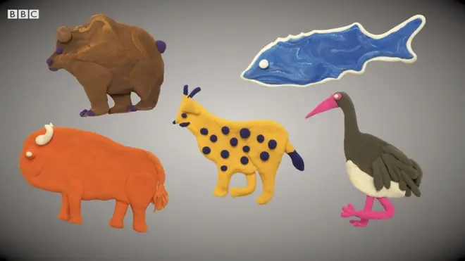 5 проблем із захистом тварин в Україні Bbc News Україна