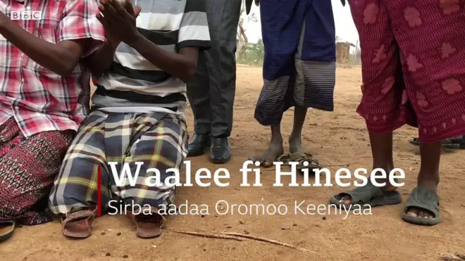 Saawwan Ugaandaa waraqaa ragaa dhalootaa argachuuf - BBC News Afaan Oromoo