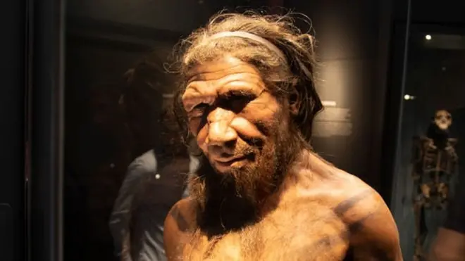 Apa yang membuat Neanderthal musnah: pertempuran atau kawin silang ...