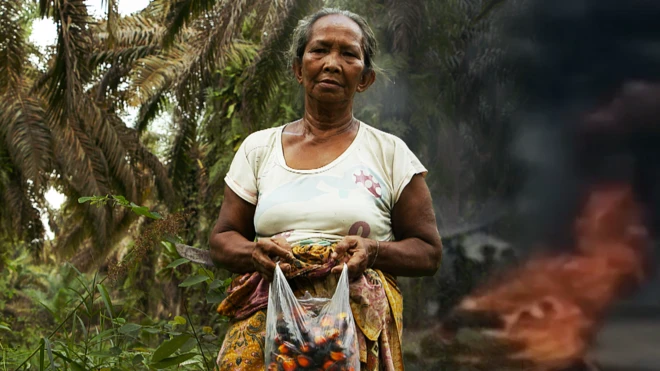 Konflik sawit dan penembakan berujung kematian warga di Seruyan: Akar persoalan muncul belasan ...