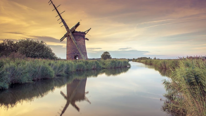 Nikuba: Apa itu dan bagaimana kelanjutan kontroversinya? - BBC News ...