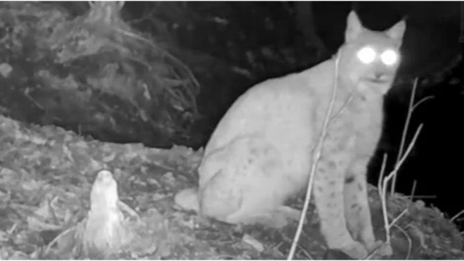 Chernobyl: las históricas fotografías de los primeros días después del ...