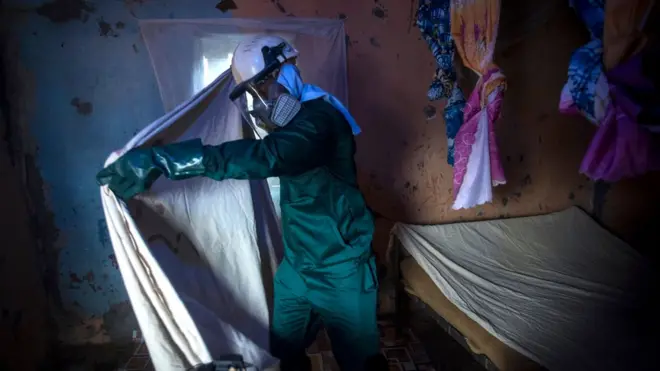 Dhibee Busaa: Maxxantuu qoricha busaa artemisinin dandamachuun fayyaa ...