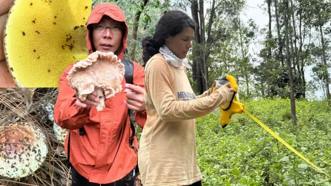 Penyakit mumps: Ribuan anak terinfeksi penyakit gondongan – Apa itu ...