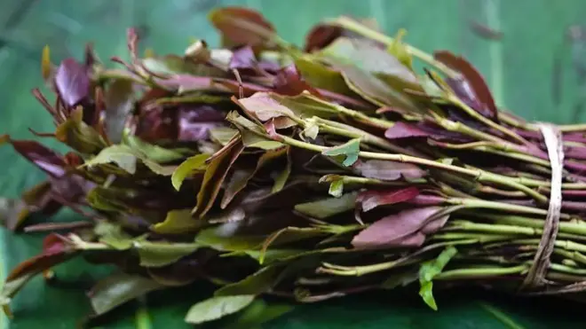 Weerarkii labaad ee laba todobaad gudahood ay qaadaan Burcad badeed ...