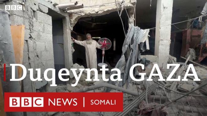 Muuqaal - BBC News Somali