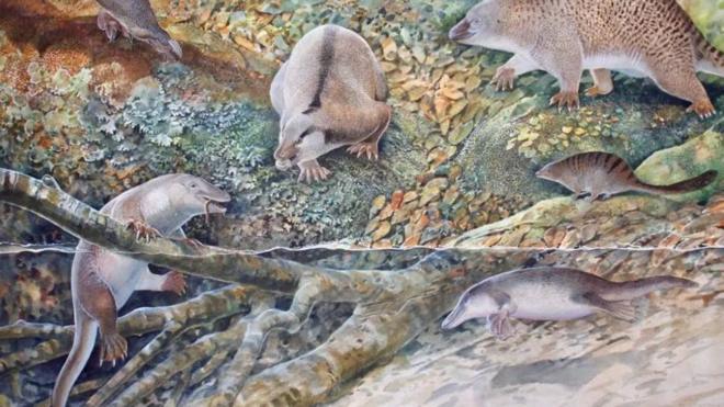 Glavna stranica - BBC News na srpskom