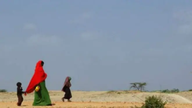 Abaarta Somaliland oo gaartay meel halis ah - BBC News Somali