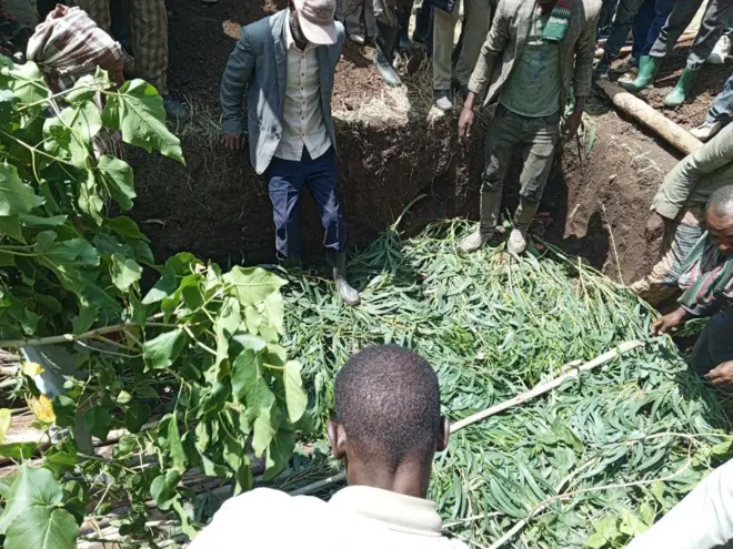 Ajjeechaawwan Godina Arsii ilaalchisee koreen dhimmicha qorachuuf garas imale maal hima? - BBC ...