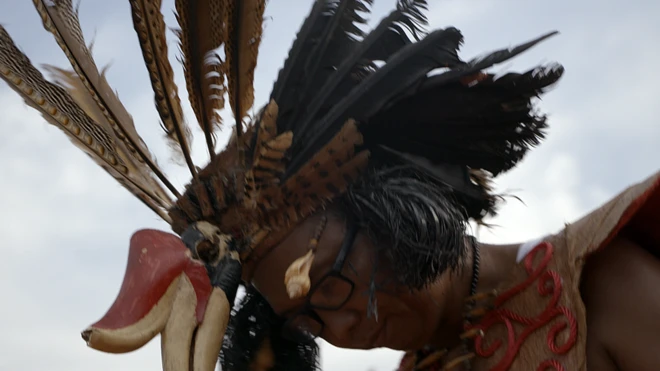 Perusahaan sawit di Papua buka lahan 70 hektar meski izin dicabut, 'potensi pidana' perusahaan ...