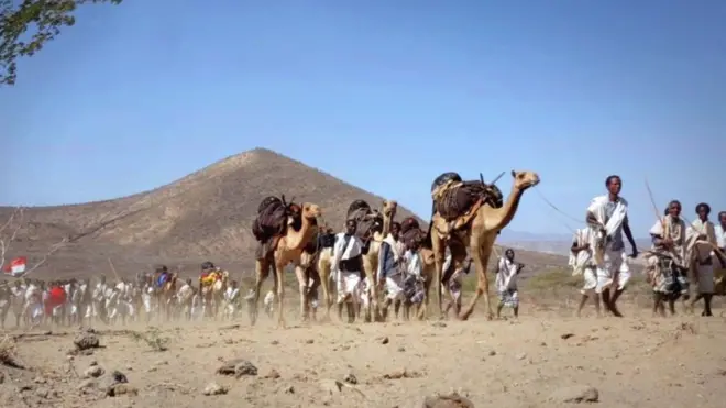 Kadiir Hawaas: Abbaa Gadaa Karrayyuu dabalatee namoonni 14 akkamiin ...