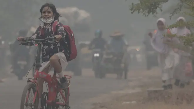 Kebakaran hutan: Sejumlah perusahaan di balik karhutla 2015-2018 lolos dari sanksi serius - BBC ...