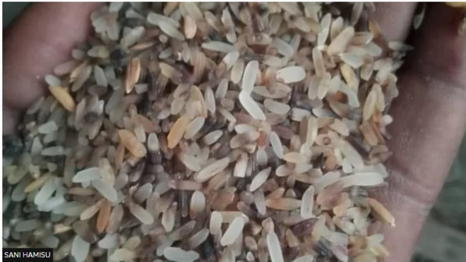 PDP kéde ọjọ́ mẹ́ta fún ìkẹ́dùn alága ẹgbẹ́ náà l’Ondo, Fatai Adams, tó ...