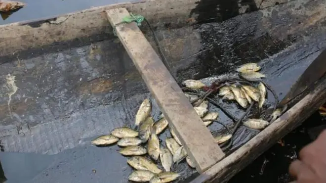 Rivers state news: How to impeach a governor in Nigeria as Governor Sim Fubara storm Rivers ...