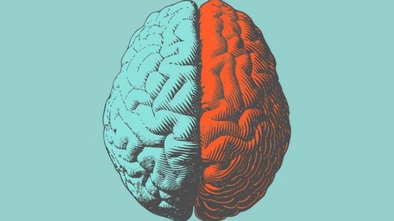 اليوم العالمي للعُسر: حقائق مذهلة عن استخدام اليد اليسرى - BBC News عربي