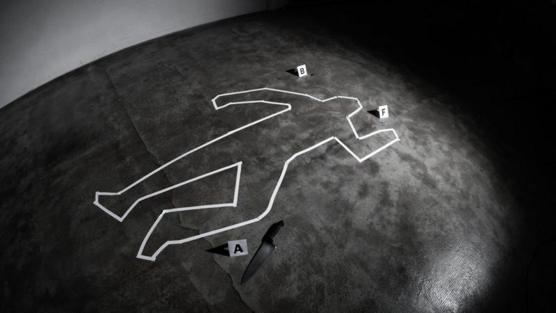 'Nossas mentes estão programadas para ter prazer com o sofrimento dos ...