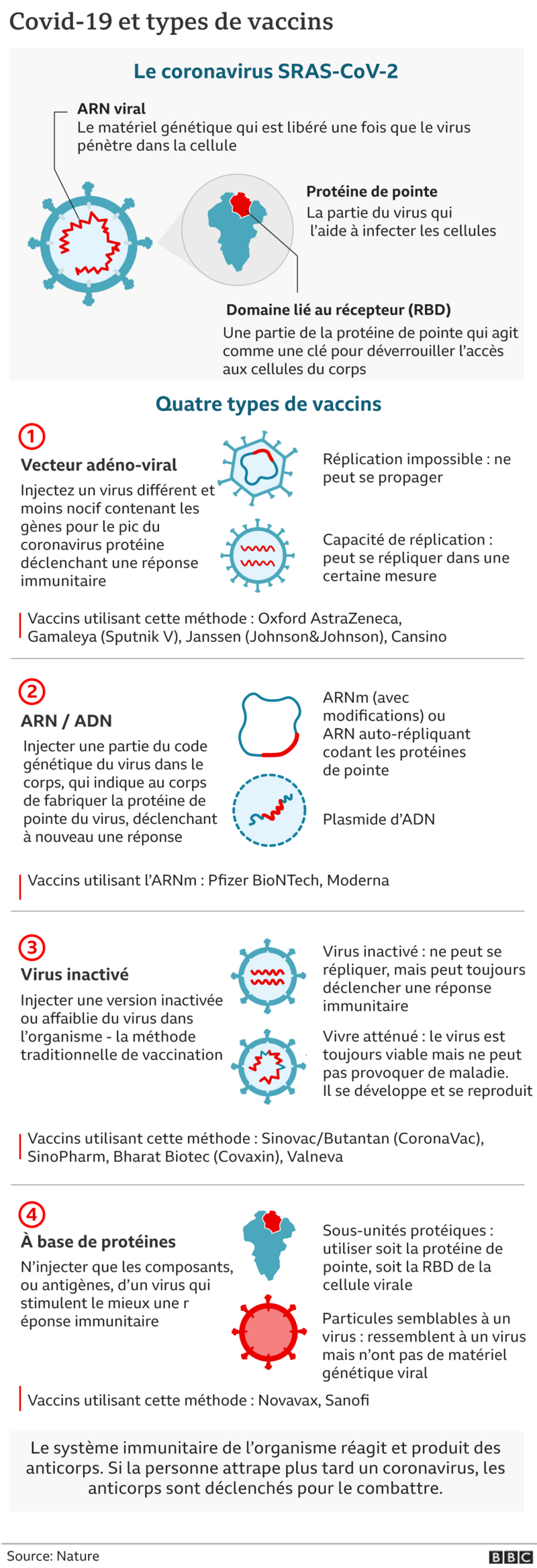 Coronavirus : est-il possible de contracter le coronavirus et de le transmettre après la ...