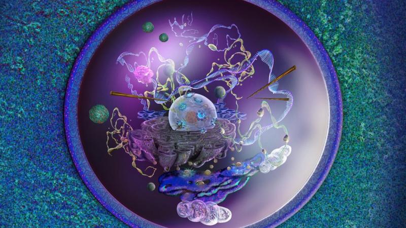 Qué es la etanolamina, la molécula hallada en el espacio que es clave ...