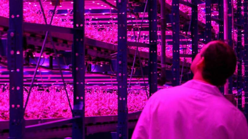 3 maneras en que la tecnología de los alimentos está transformando lo ...