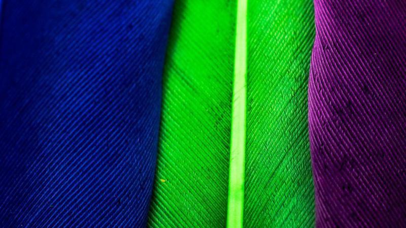 El asombroso fenómeno que nos hace ver colores que no existen - BBC ...