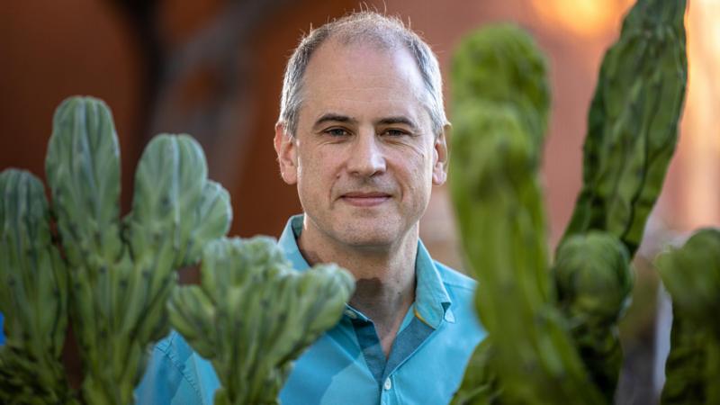 Câncer em cactos: o que a doença em outras espécies pode nos ensinar ...