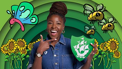 Seahorse fact quiz for kids | Blue Peter - CBBC - BBC