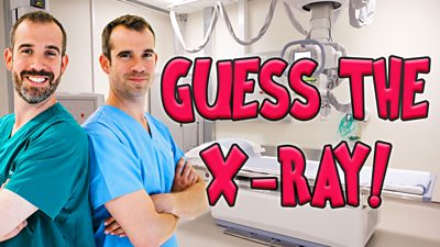 Quiz: Guess the x-ray - CBBC - BBC