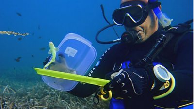 Quiz: How much do you know about flying? - CBBC - BBC