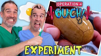 Operation Ouch! Make your own stomach! Experiment making a digestive ...