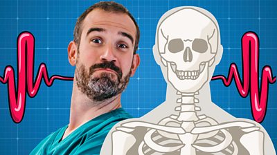 Can you play this Operation Ouch quiz and put the human skeleton in ...