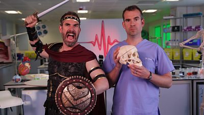 Quiz: Guess the x-ray - CBBC - BBC