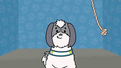 Watch and Sing - Clips and songs for kids - CBeebies - BBC