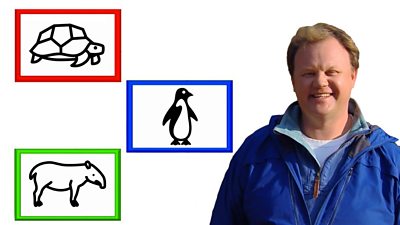 Learn Makaton signs with Justin - CBeebies - BBC