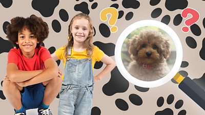 Play Waffle the Wonder Dog game on CBeebies | Waffle and Friends game ...