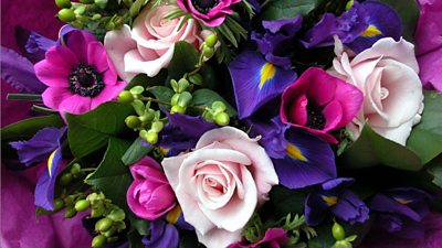 Poppy's Day - CBeebies - BBC