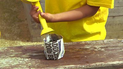 Grow Vegetable Scraps - CBeebies - BBC