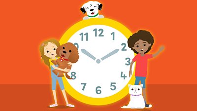 Race the Clock: Swashbuckle - CBeebies - BBC