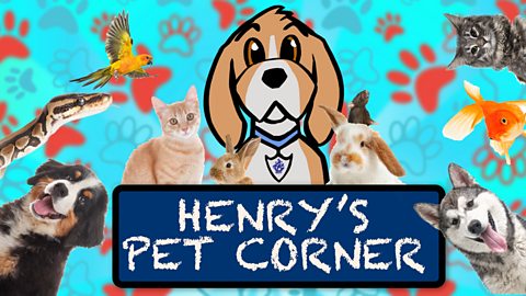 Join in with Blue Peter - CBBC - BBC