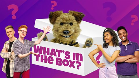 CBBC Top Picks - CBBC - BBC