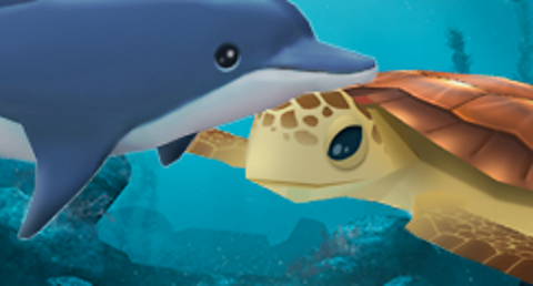 Animals on CBBC - CBBC - BBC