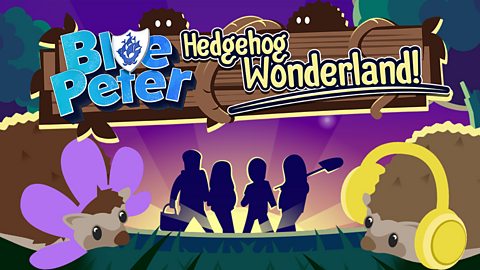 Gaming on Blue Peter - CBBC - BBC