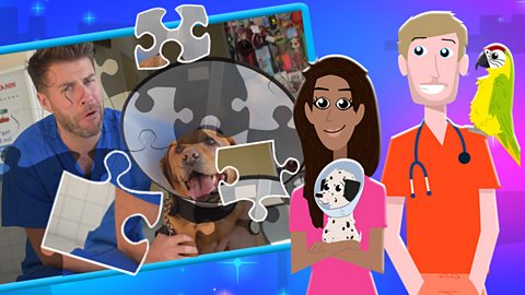 CBBC Jigsaws - CBBC - BBC